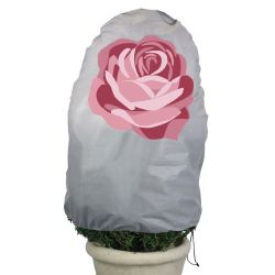 Winterschutz für Rosen