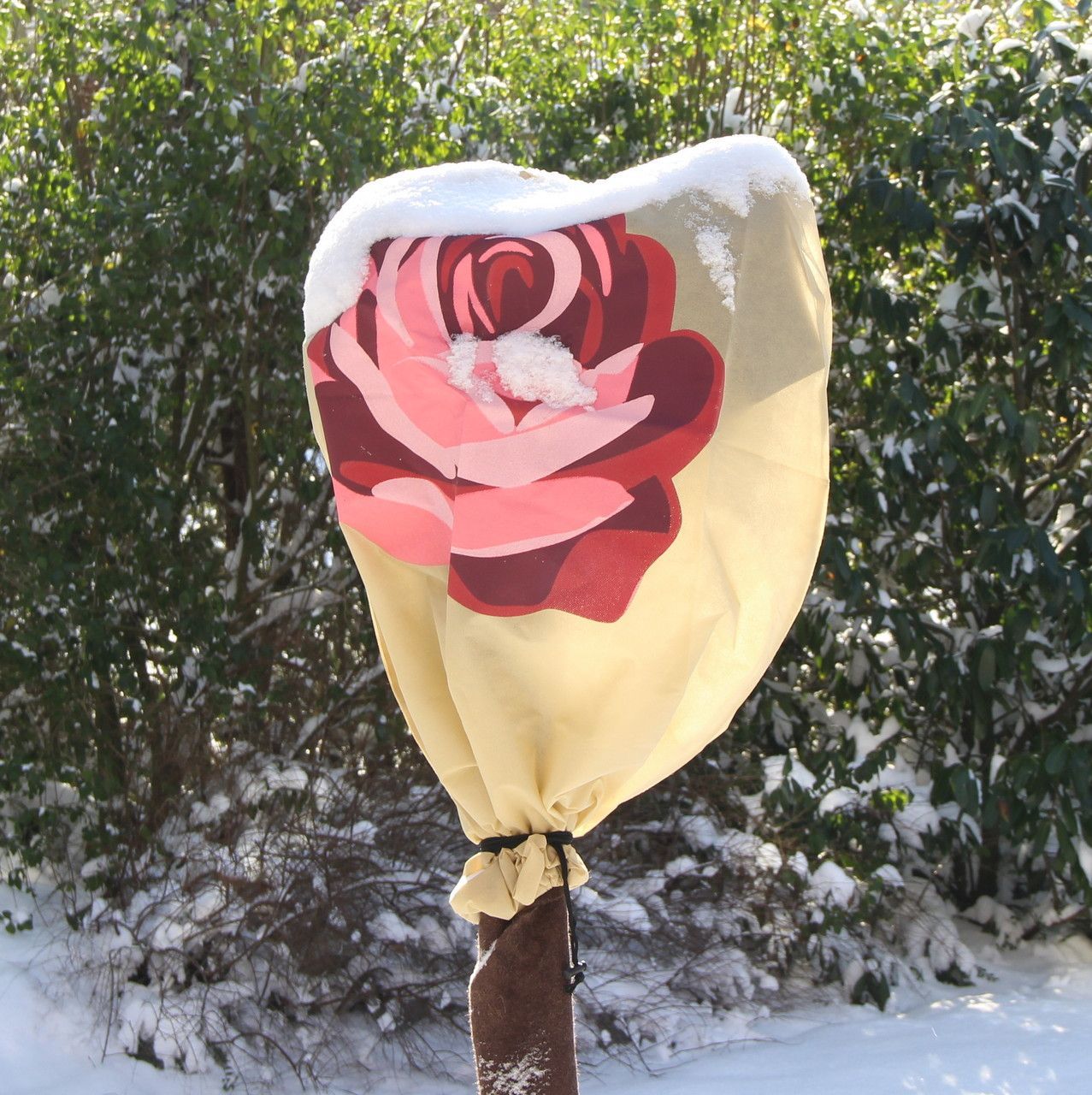 Winterschutz für Pflanzen